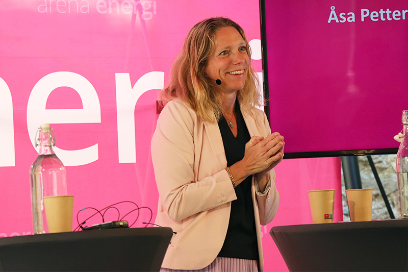 Åsa Petterson avancerar på listan över Sveriges energimäktigaste ...