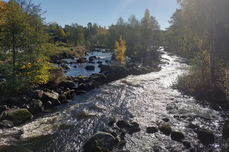 Samverkan i dammsäkerhetsbranschen - Energiföretagen Sverige